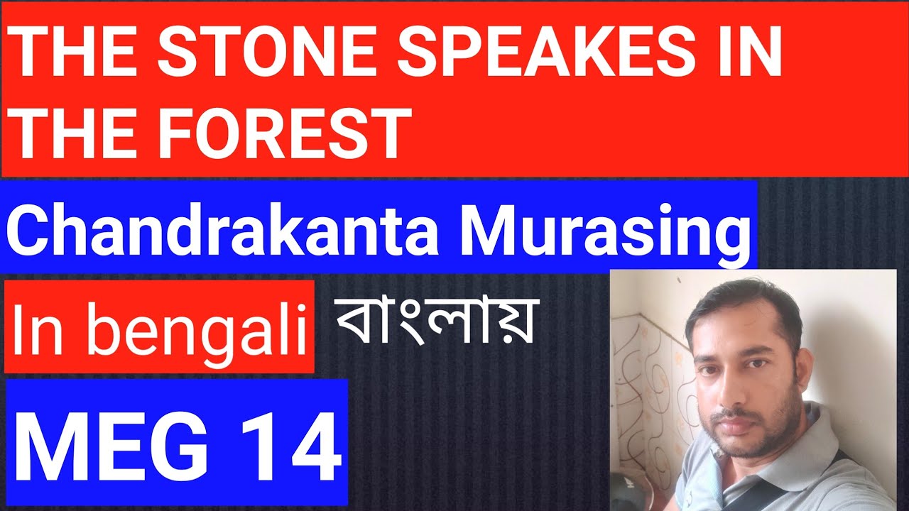 The Stone Speaks in the Forest by Chandrakanta Murasing ||Meg 14||in ...