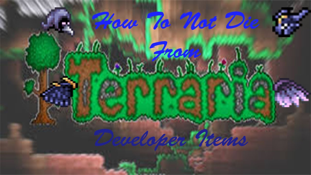 How To Use Terraria Developer Items Without Dieing - YouTube