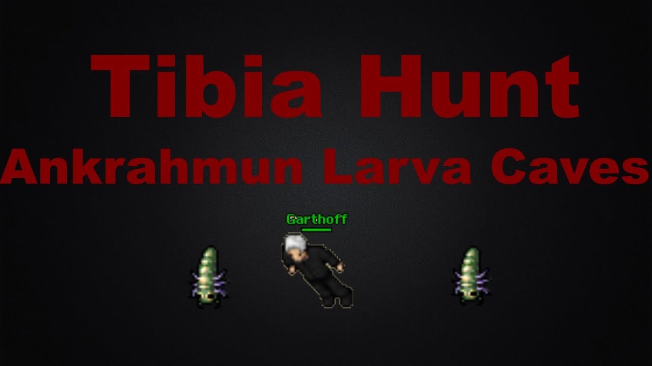 Tibia Hunt: Ankrahmun Larva Caves - YouTube
