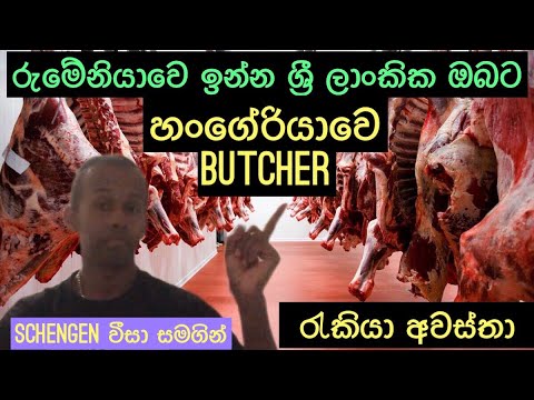 🇭🇺🇪🇺හංගේරියවෙ රැකියා අවස්ථා | Butcher Vacancy | Meat Factory job ...