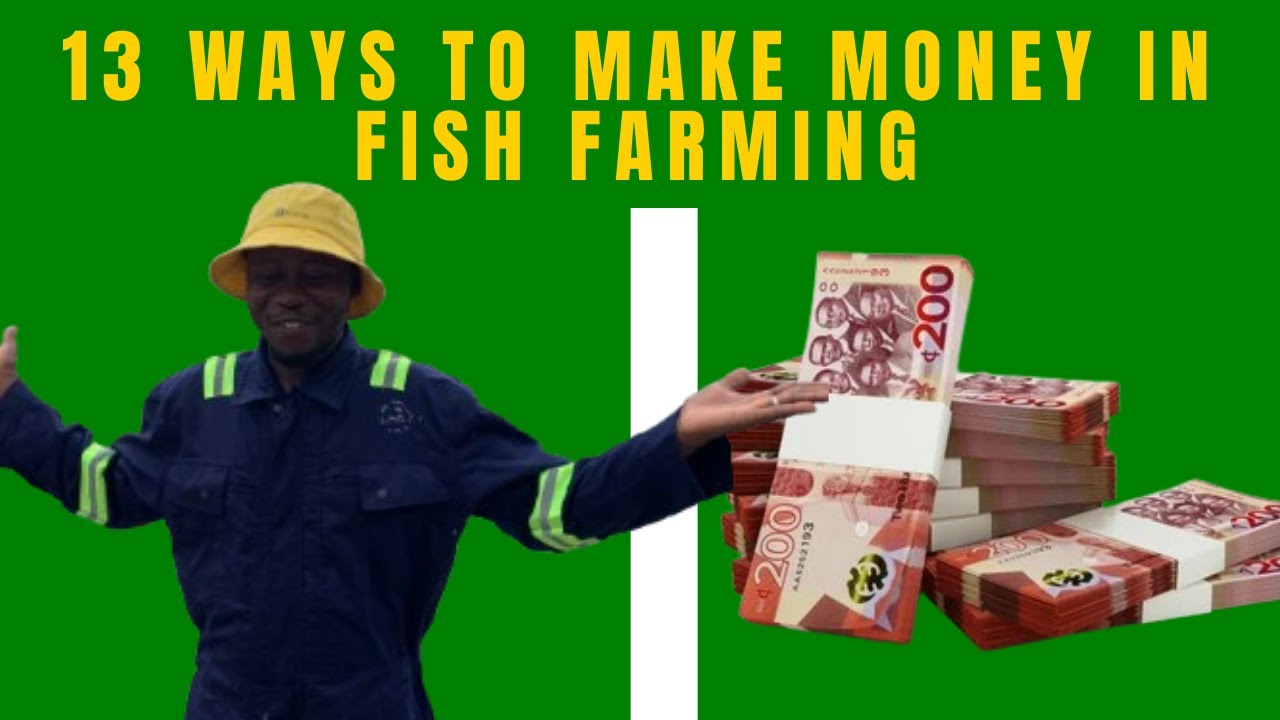 13 Fish Business Ideas You Can Start Today! - YouTube