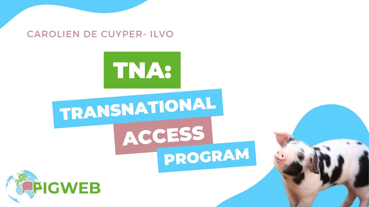 PIGWEB - TNA: Transnational Access Program Last Call - YouTube