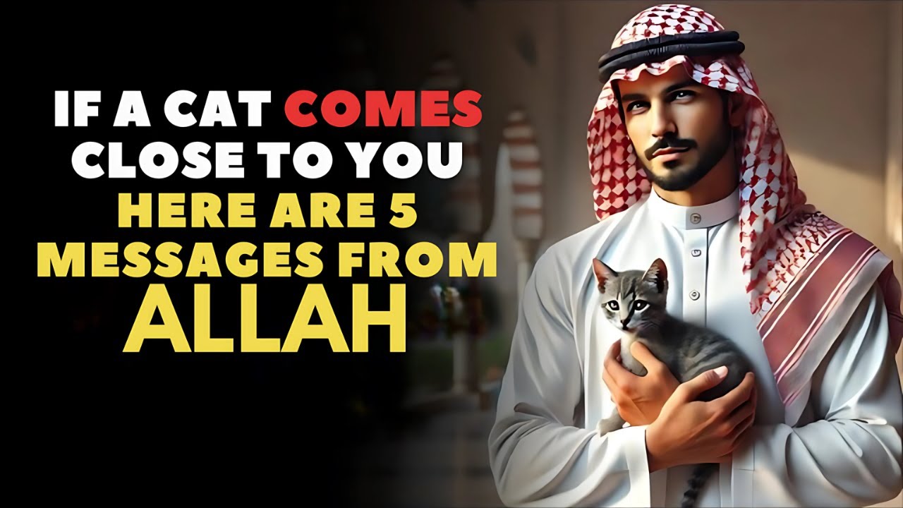 WHY PROPHET MUHAMMAD LOVED CAT? | 5 BENEFITS OF KEEPING CATS - YouTube