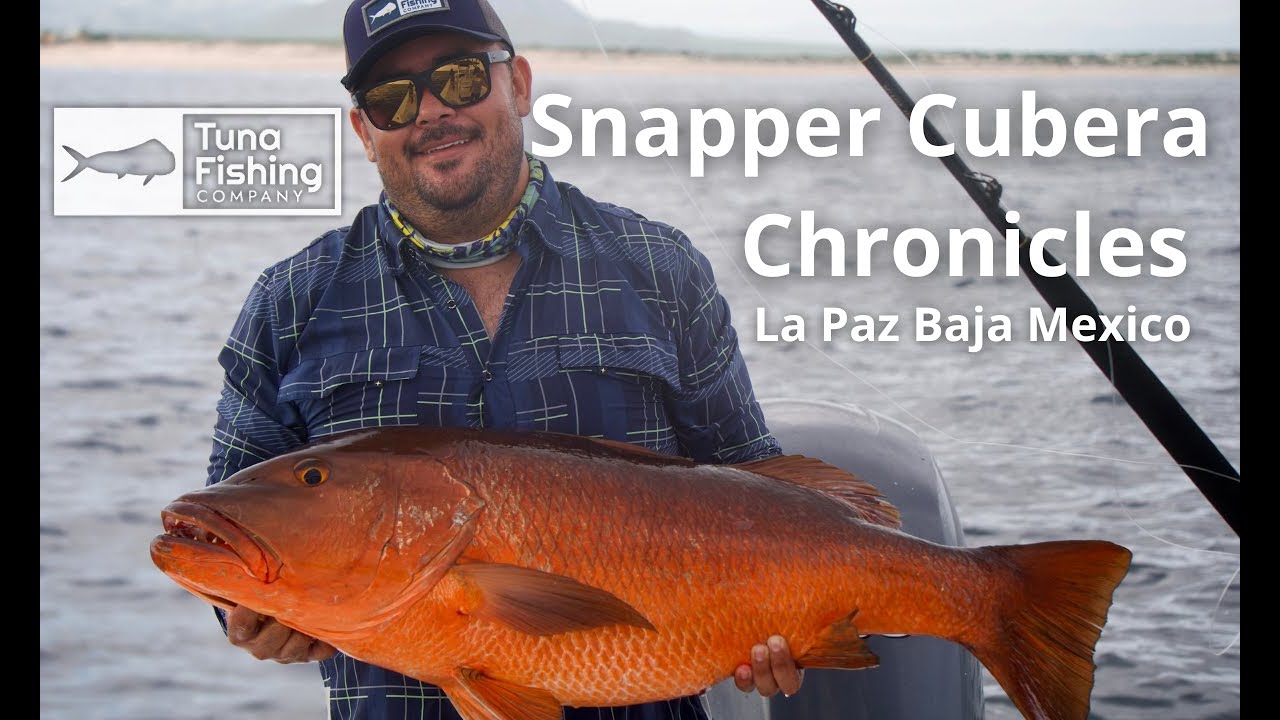 Epic Battle with a Giant Cubera Snapper in Baja Mexico! - YouTube