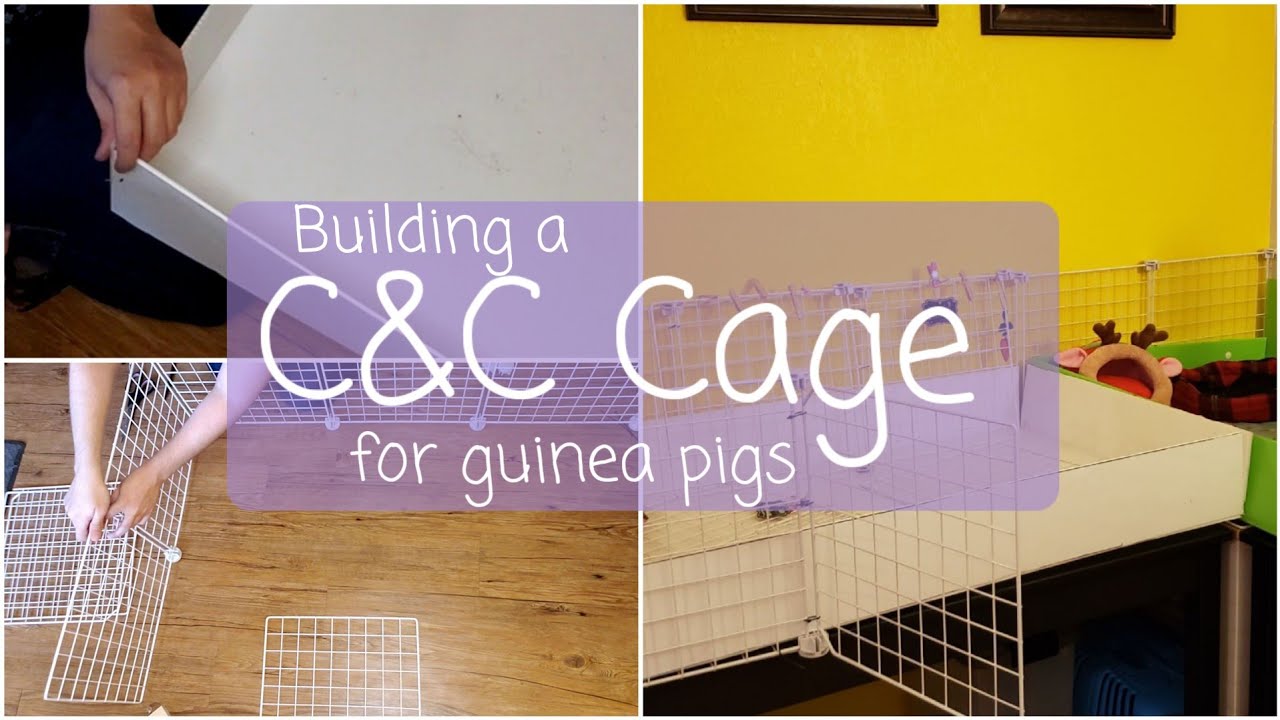 How to Build C&C Cage for Guinea Pigs | DIY Tutorial - YouTube