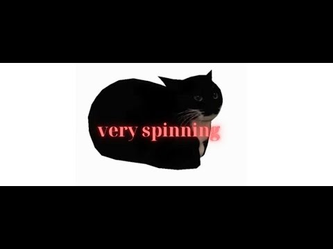 WARNING: THERE ARE TOO MANY SPINNING CATS IN THE VIDEO, PLEASE CONSIDER ...