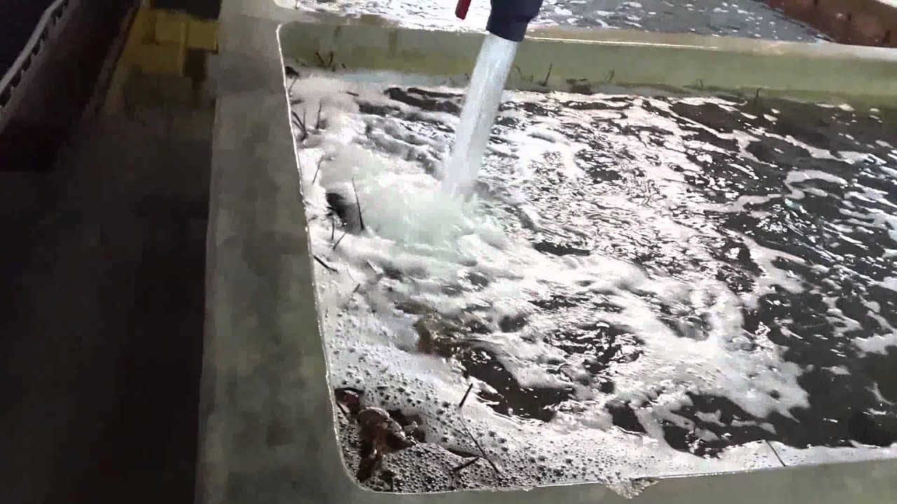 Seaflower Namibia SLC 3 - YouTube