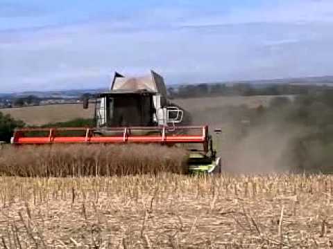 Class combine harvester - YouTube