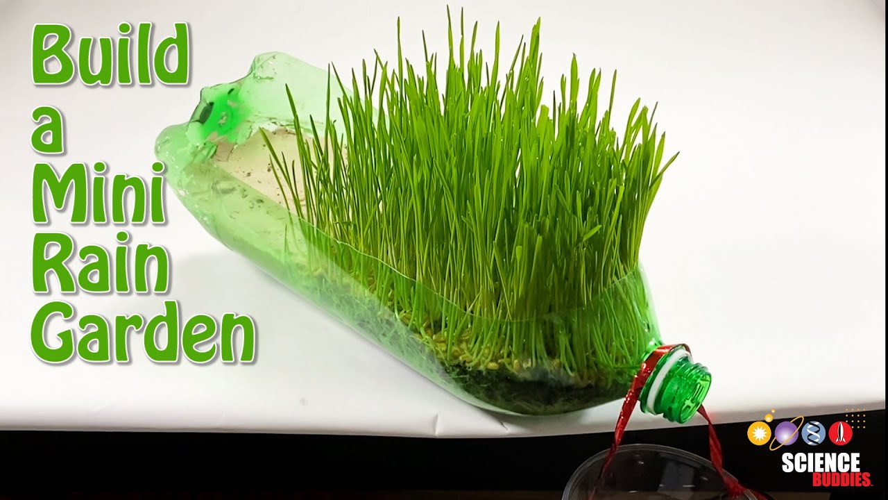 Rain Garden Science Experiment - YouTube