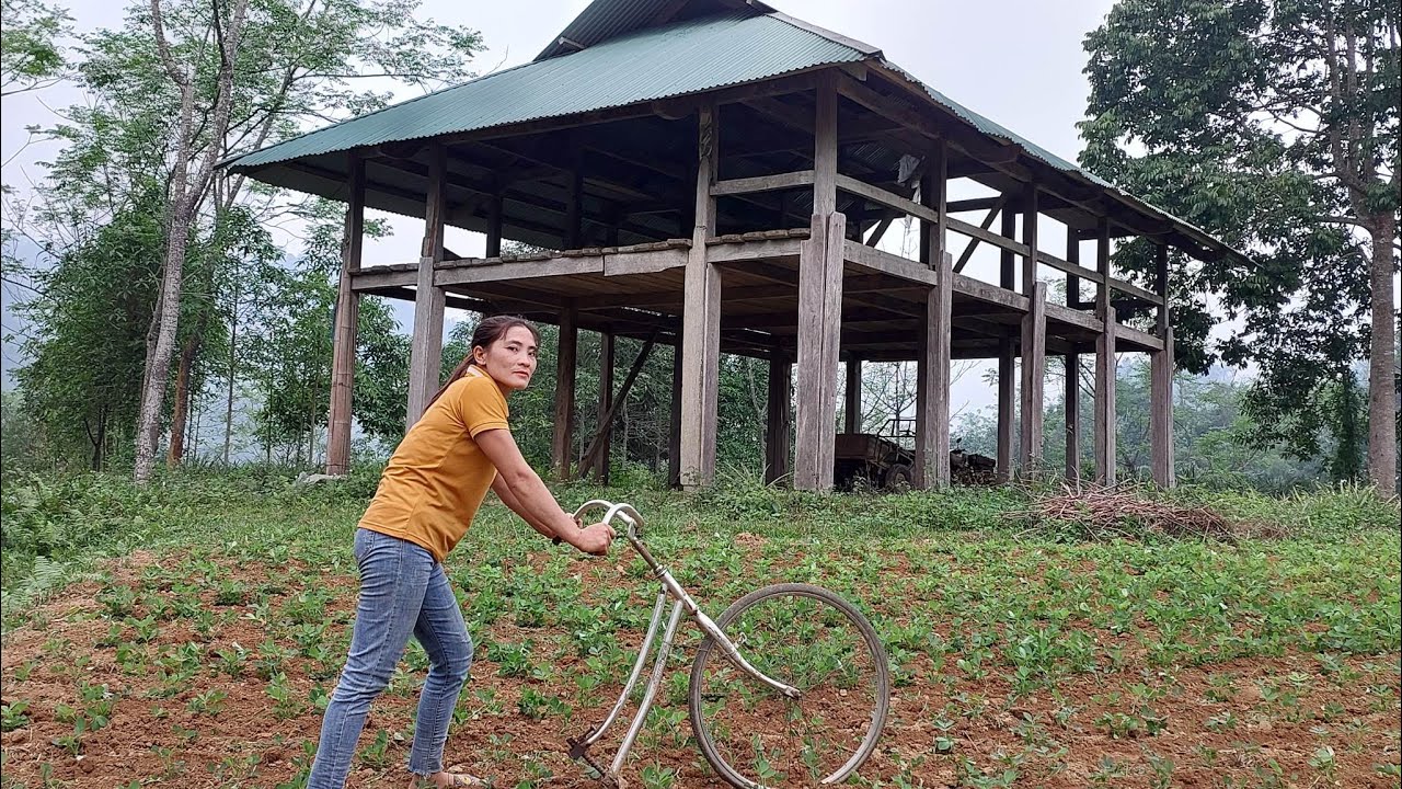 Take care of the corn and feed the ducks - Green forest life, building ...