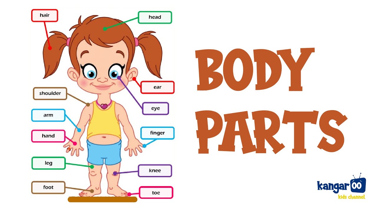 Learn Body Parts for Kids | Fun & Educational Video for Toddlers and ...