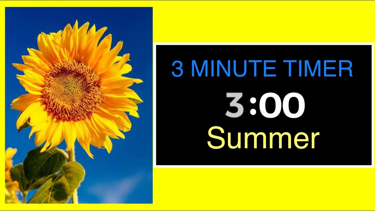 3 minute timer summer with cricket chirp alarm 🌻⏲ #sunflowertimer # ...