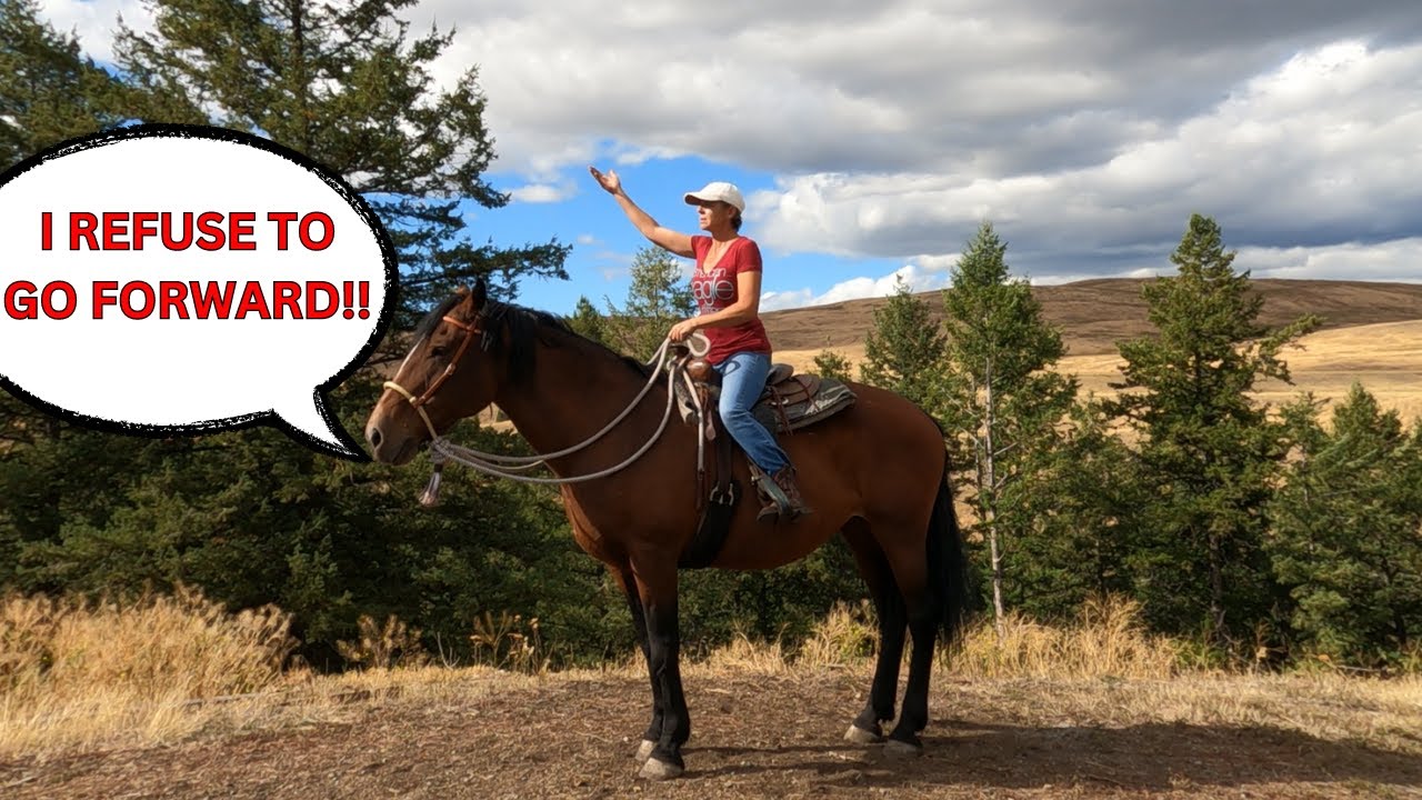 AVOID DOING THIS WHEN RIDING A STUBBORN HORSE!! - YouTube