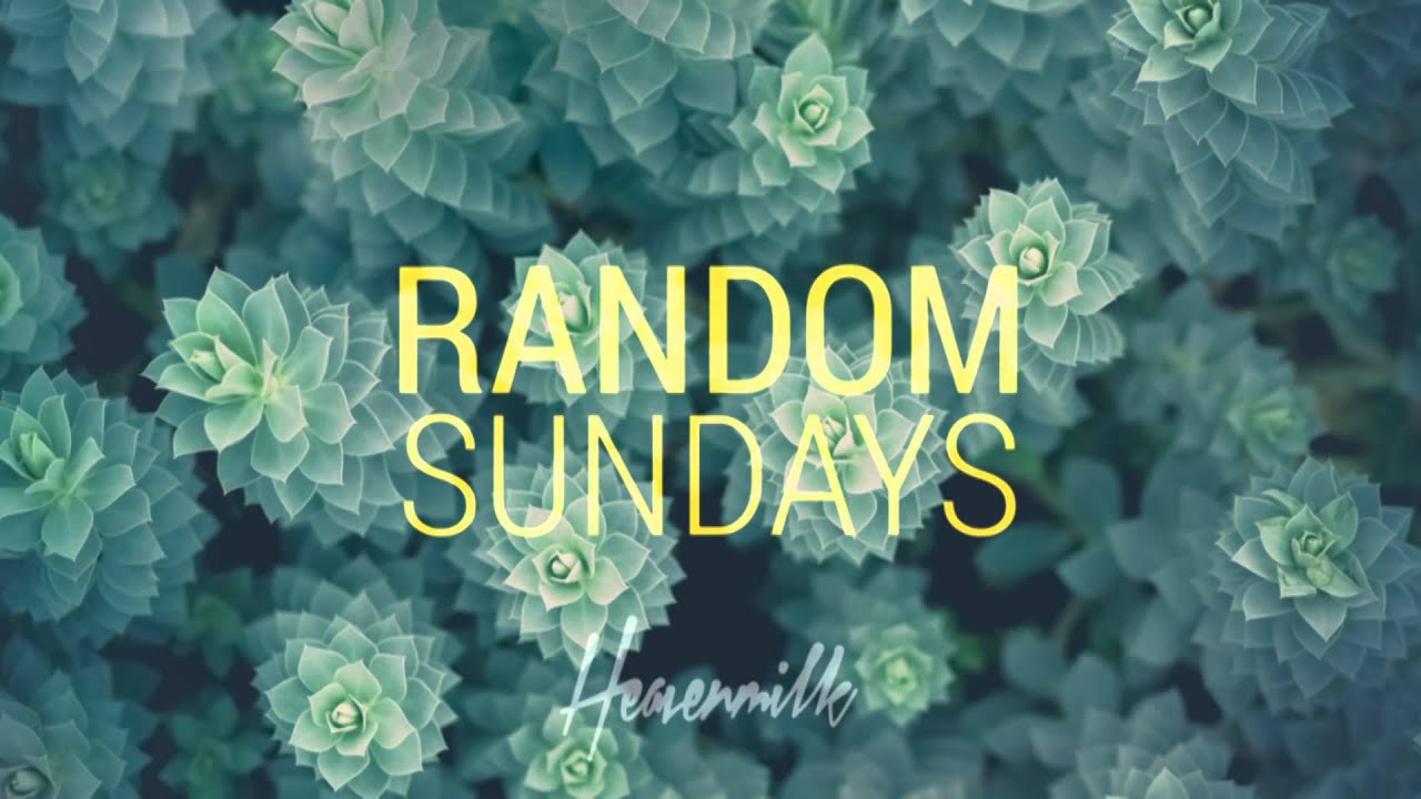 Miike Snow - Burial (DJ Mehdi Remix) - YouTube