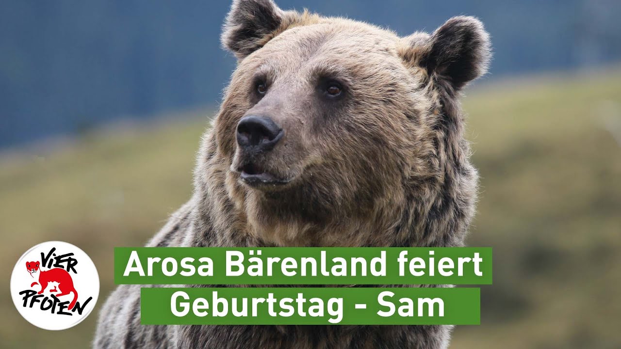 #arosafriday - unsere schönsten Momente mit Sam! | VIER PFOTEN - YouTube