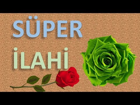 Abdurrahman ÖNÜL - Süper Hareketli İlahi