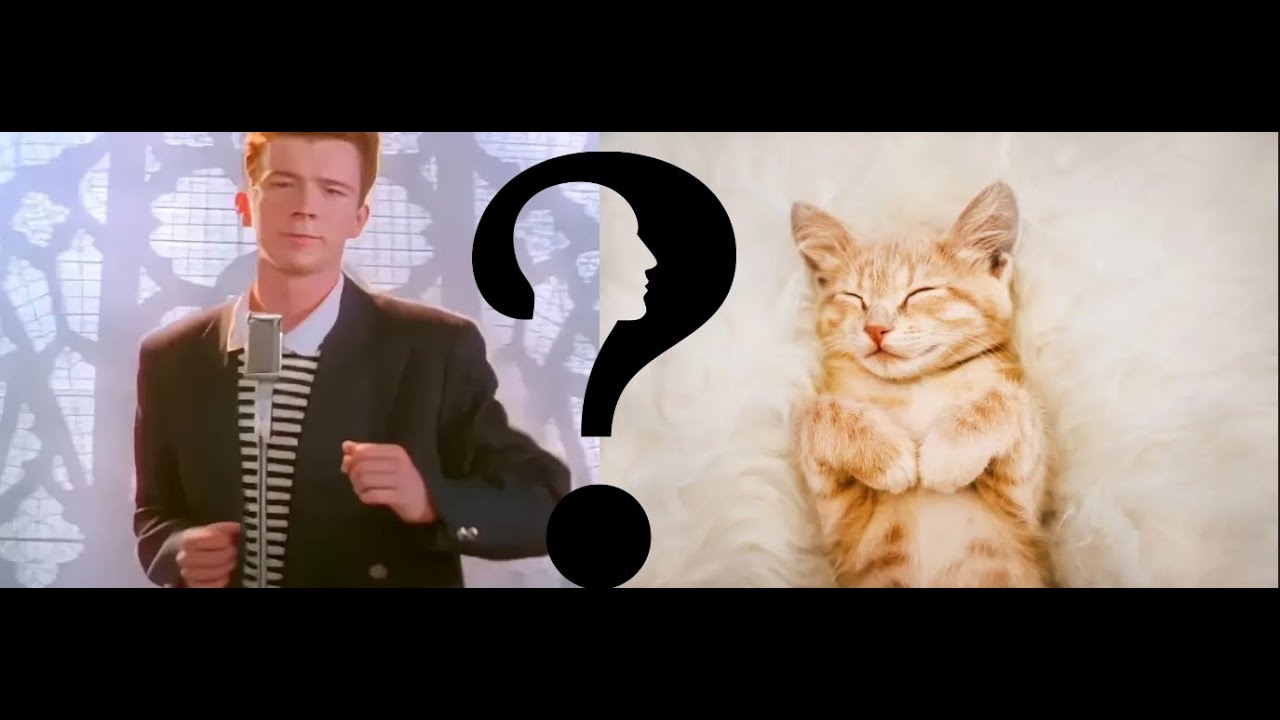 Is it a cute cat or a rickroll? test your luck. - YouTube