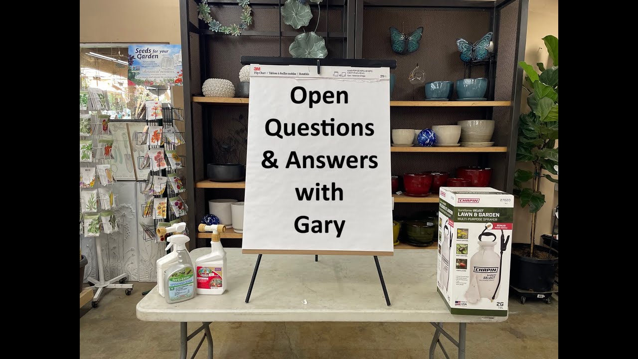 Open Question and Answer Session - YouTube