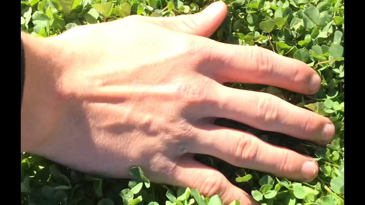 Telling people to touch grass - YouTube