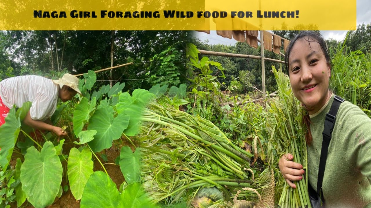 Naga Girl Foraging Wild Food Resources | Churang, Ferns,Taro leaves for ...