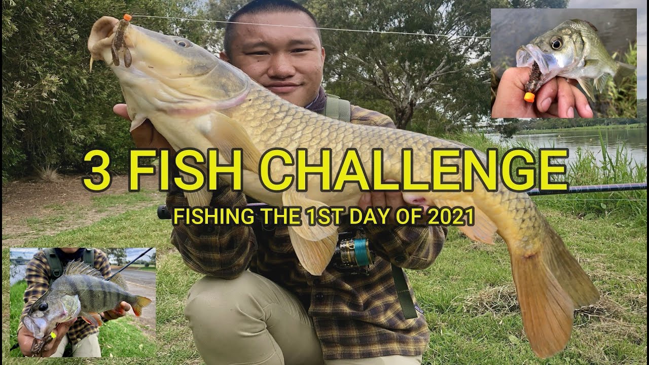 3 FISH CHALLENGE 2021 EP.40: FISHING REDFIN CARP ESTUARY PERCH ON SOFT ...