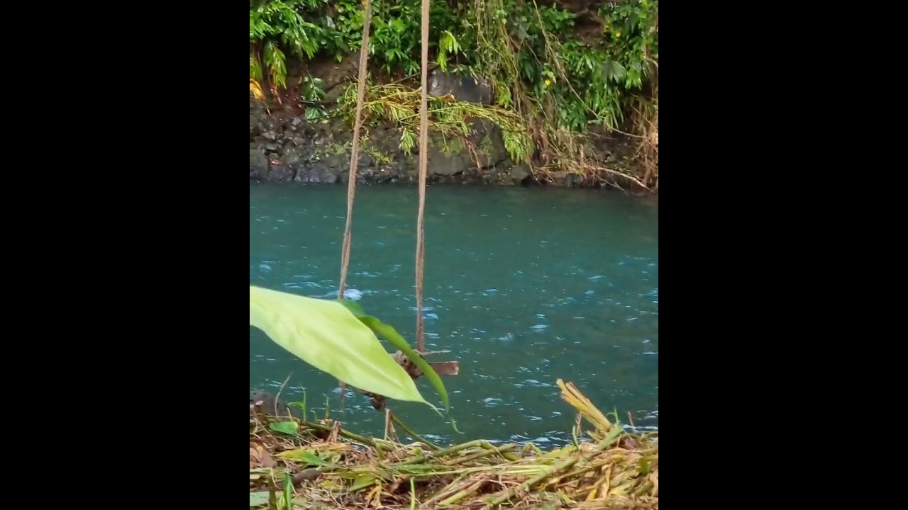 VIXVIPSERVICES@ MINISSY WATERFALL - YouTube