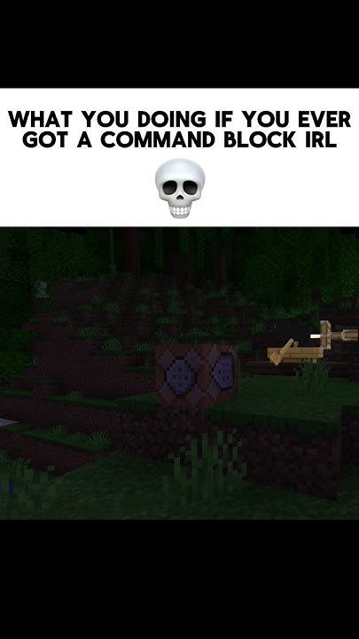 What y'all doing if y'all had a command block IRL💀 - YouTube