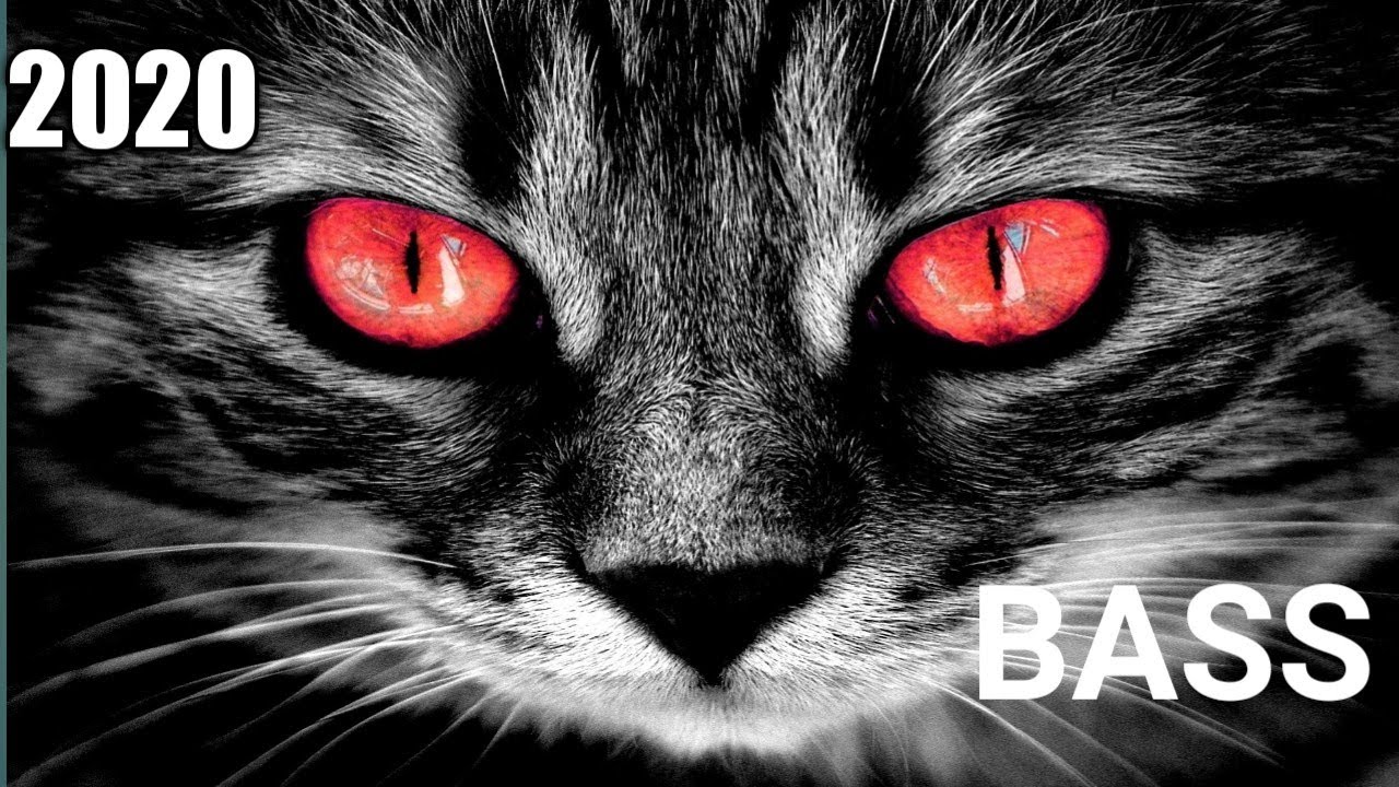 Bass boosted background music for videos (english bass boosted songs ...