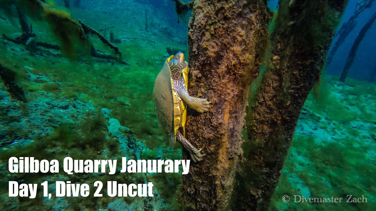 Gilboa Quarry January 28 Dive 2 Uncut - YouTube