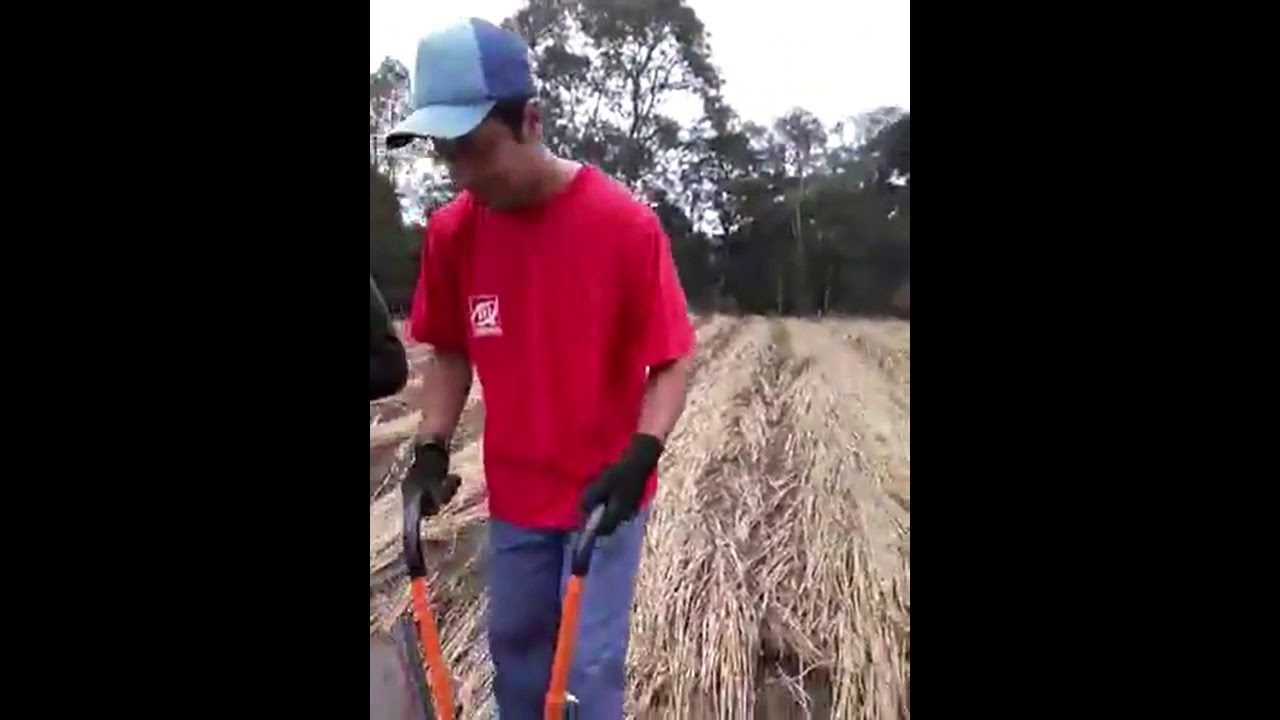 PLANTADEIRA MANUAL DE MUDAS TIPO MATRACA - YouTube