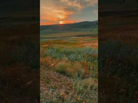 ALİ KIZILTUĞ - BENİM O KÖYLERDEN ALACAĞIM VAR 🔥 UZUN HAVA SÜPER 