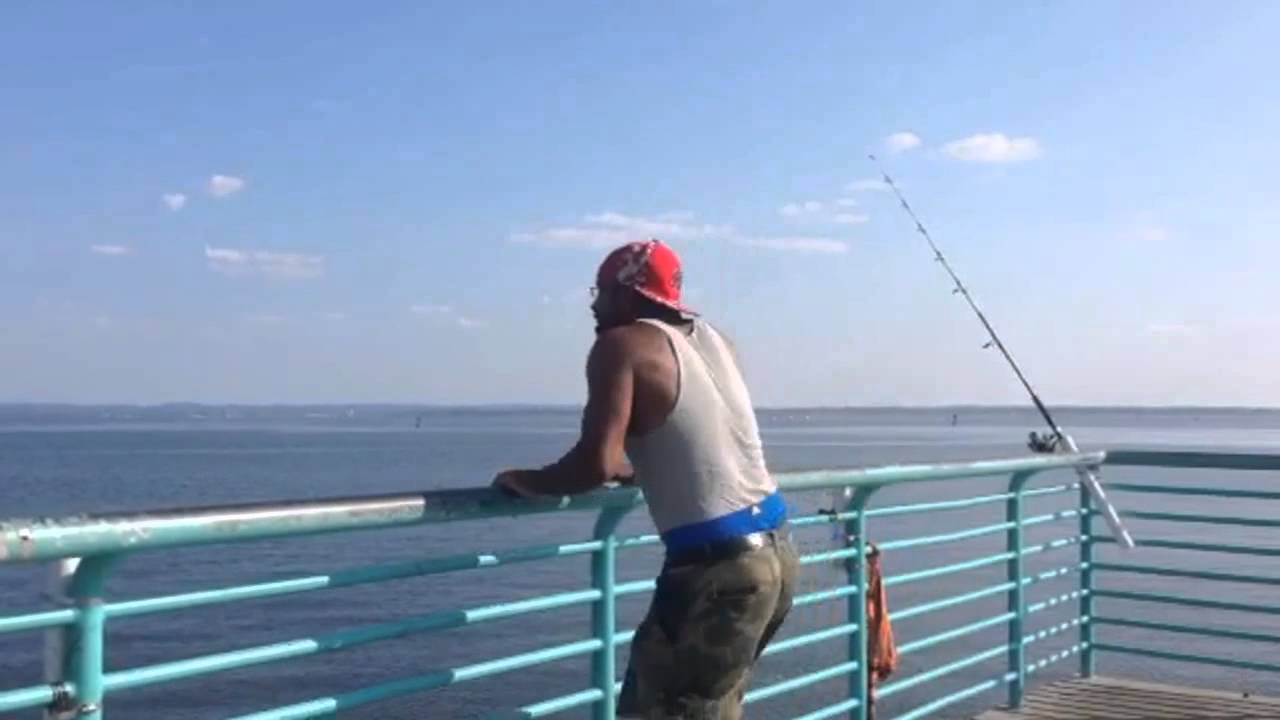 Fish Call - YouTube