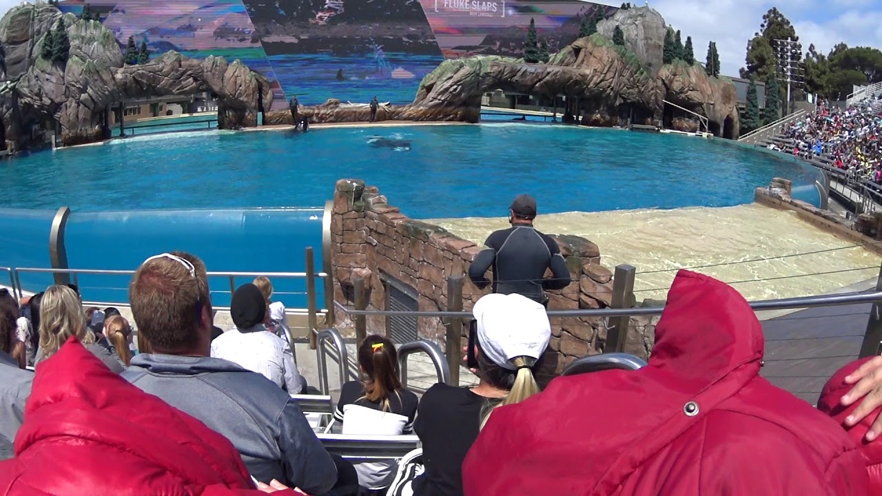 Sea World - Los Angeles California - YouTube