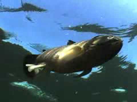 Lunker Bay Tackle Castaic Swimbaits _ Boot Tail (SBT) _ 6_ Boot Tail ...