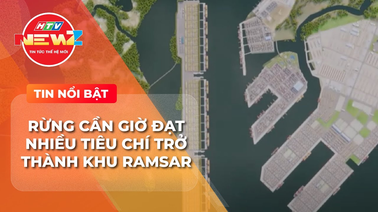 RỪNG CẦN GIỜ ĐẠT NHIỀU TIÊU CHÍ TRỞ THÀNH KHU RAMSAR - YouTube