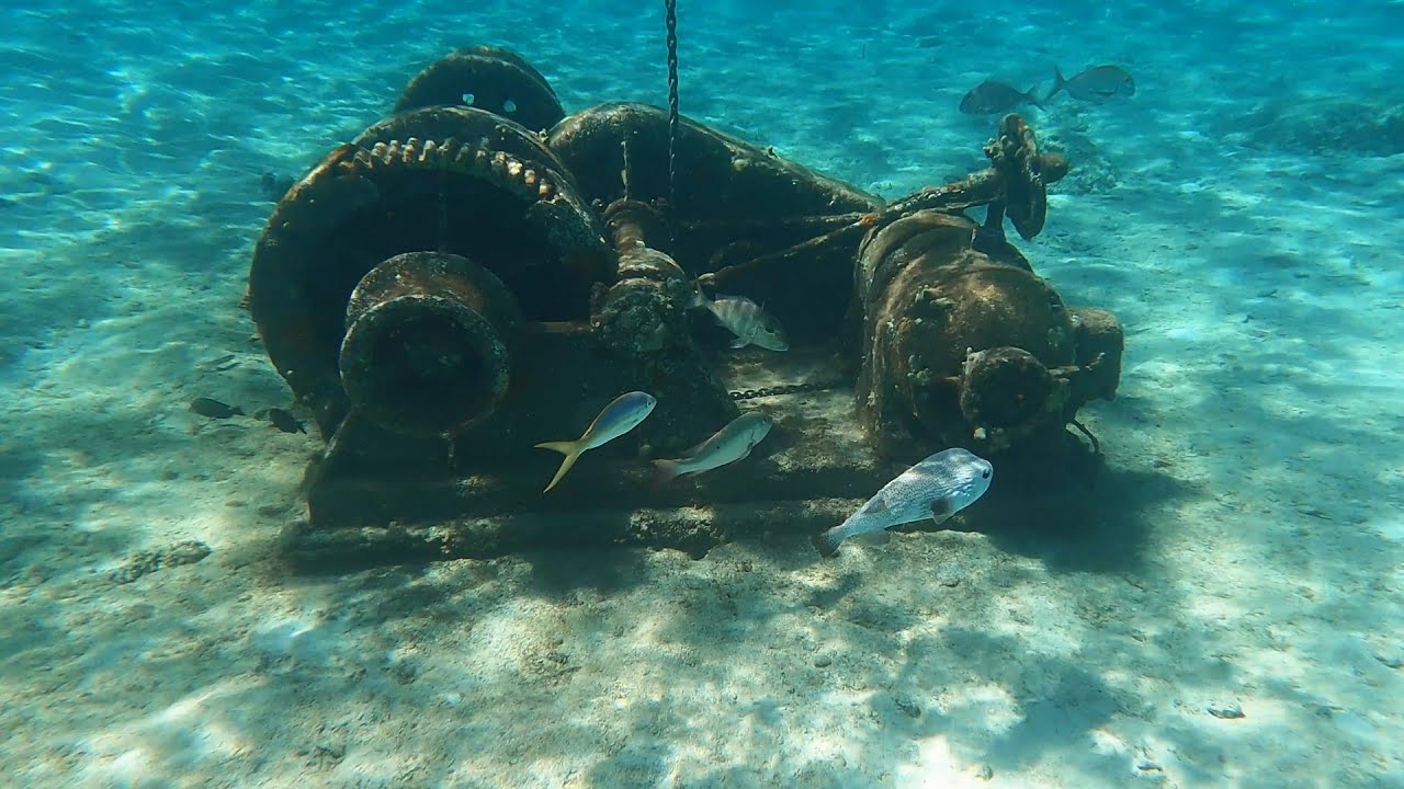 Disney Castaway Cay Snorkeling - YouTube
