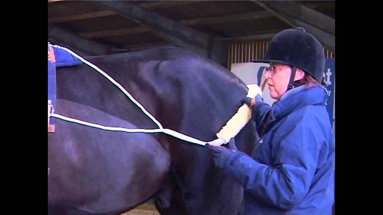 PESSOA TRAINING AID VIDEO - YouTube