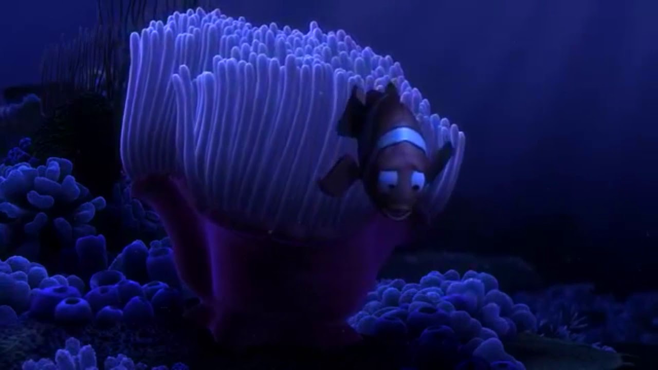 Nemo's Birth - YouTube
