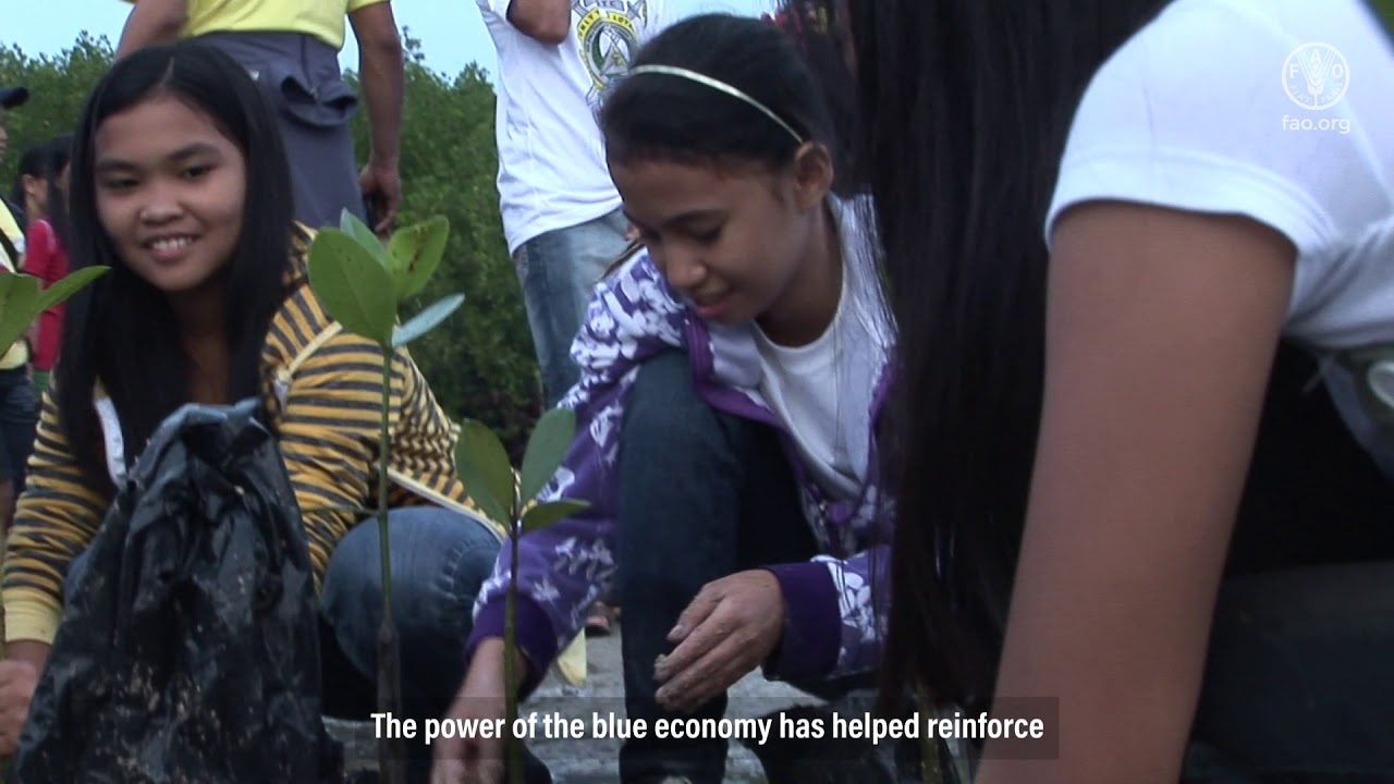 Partnering for sustainable fisheries in the 21st century - YouTube