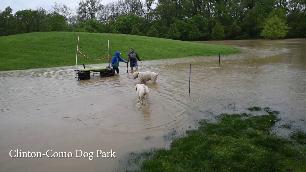 Olentangy River Flooding: May 19, 2020 - YouTube