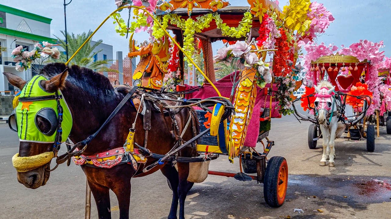 KUDA | KUDA DELMAN - NAIK KUDA | LAGU NAIK DELMAN,BALONKU ADA LIMA ...