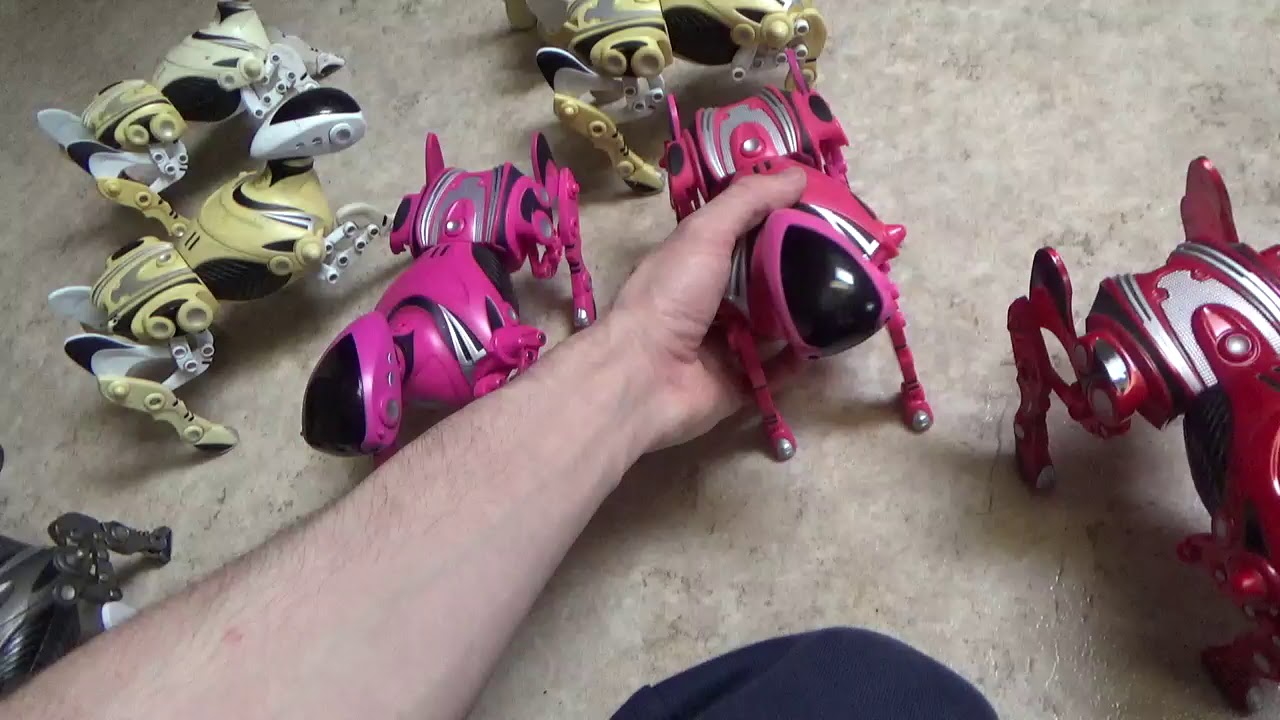 Everything you need to know about the WowWee Robopet - YouTube