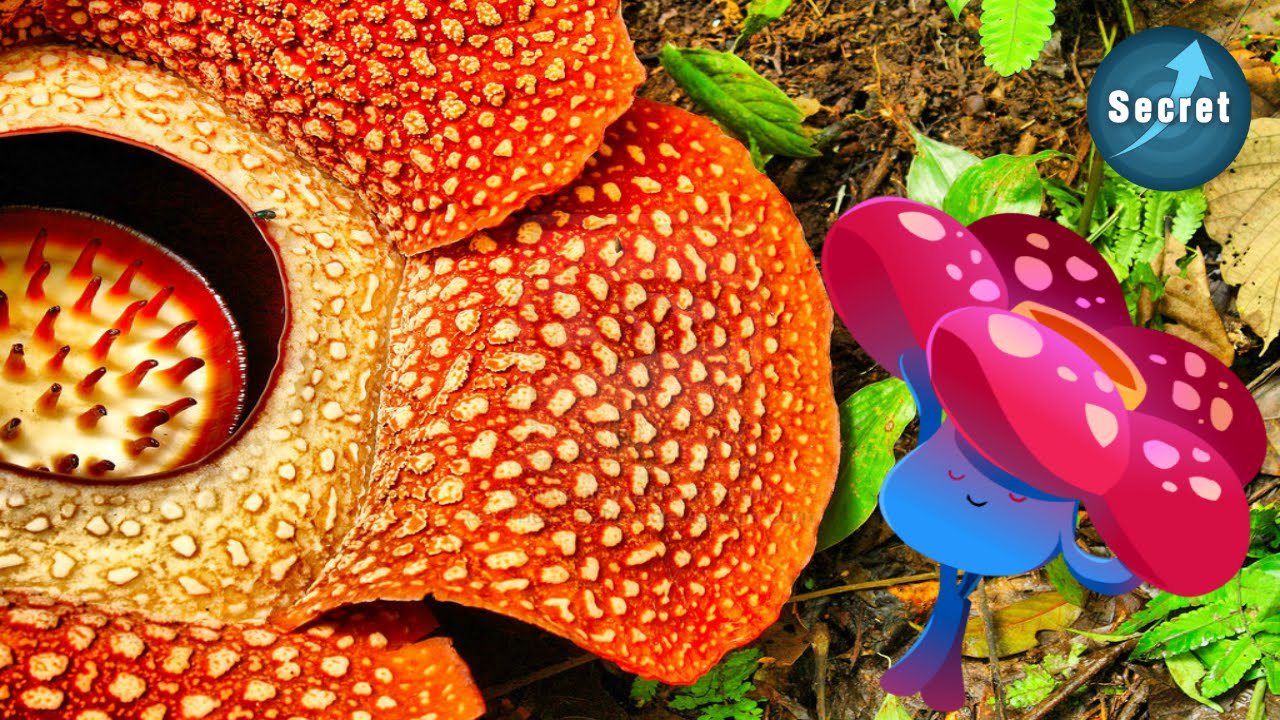 10 Pokemon That Actually Exist In Real Life - You Didn't Realize | The ...