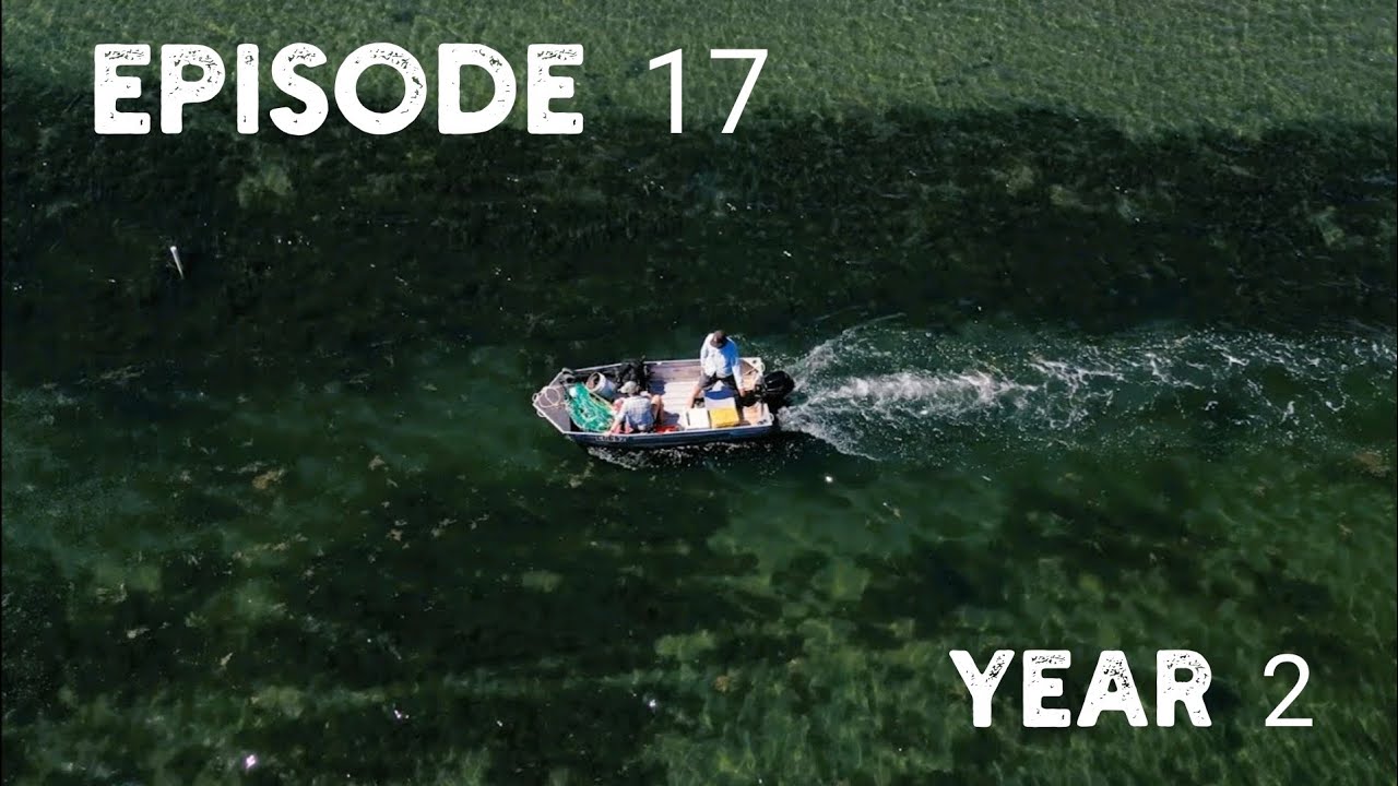 Crabbing Bunbury Catch and Cook | Custom 12v Dinghy Mods - YouTube