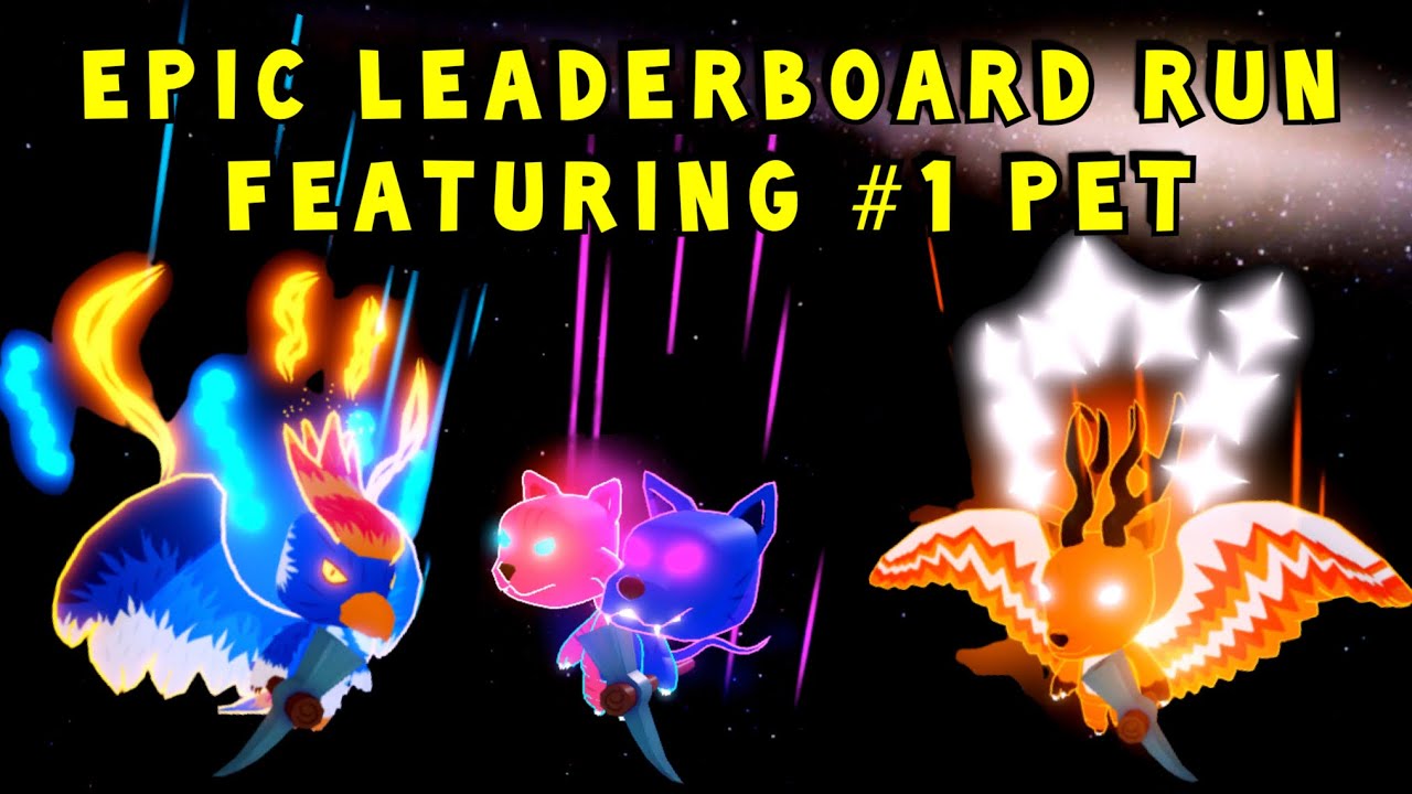 What it Takes To Compete In This Competition + ALL NEW Pets - YouTube