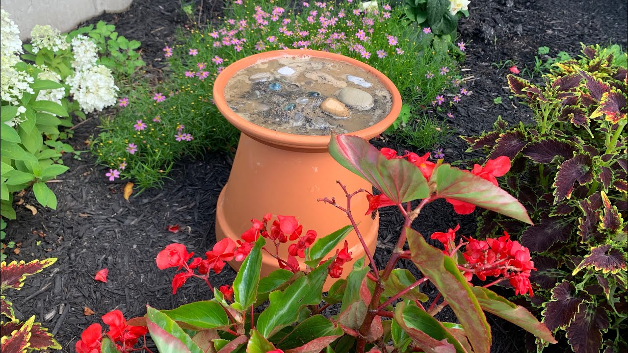 Making a sweet butterfly puddler to attract the pollinators to the ...