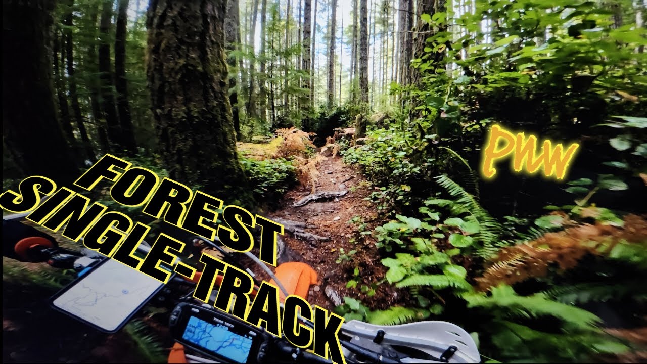 Solo Fall Singletrack Beautiful Forest - YouTube