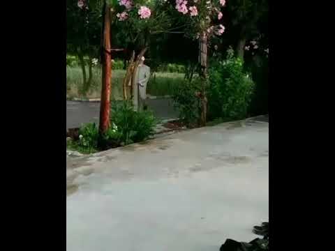 Seyda şeyh Rıdvan ks. Bir Bayram sabahı