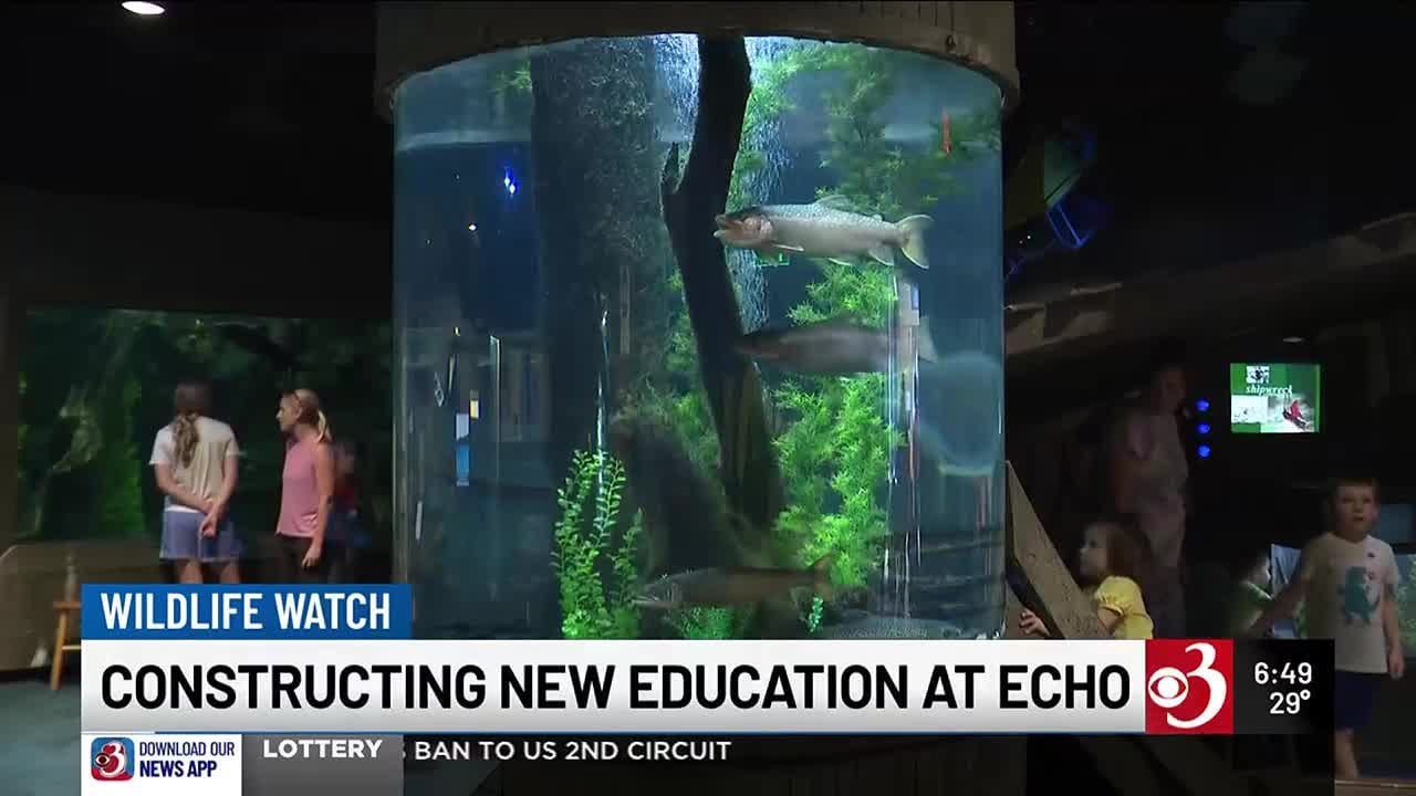 Echo Center's new exhibit space set to open this summer - YouTube