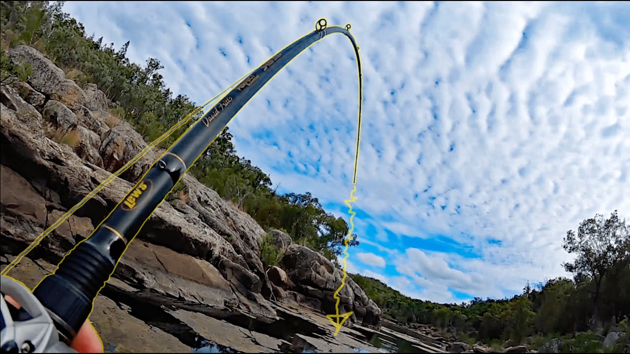 AUSTRALIA'S LARGEST FRESHWATER FISH. - YouTube